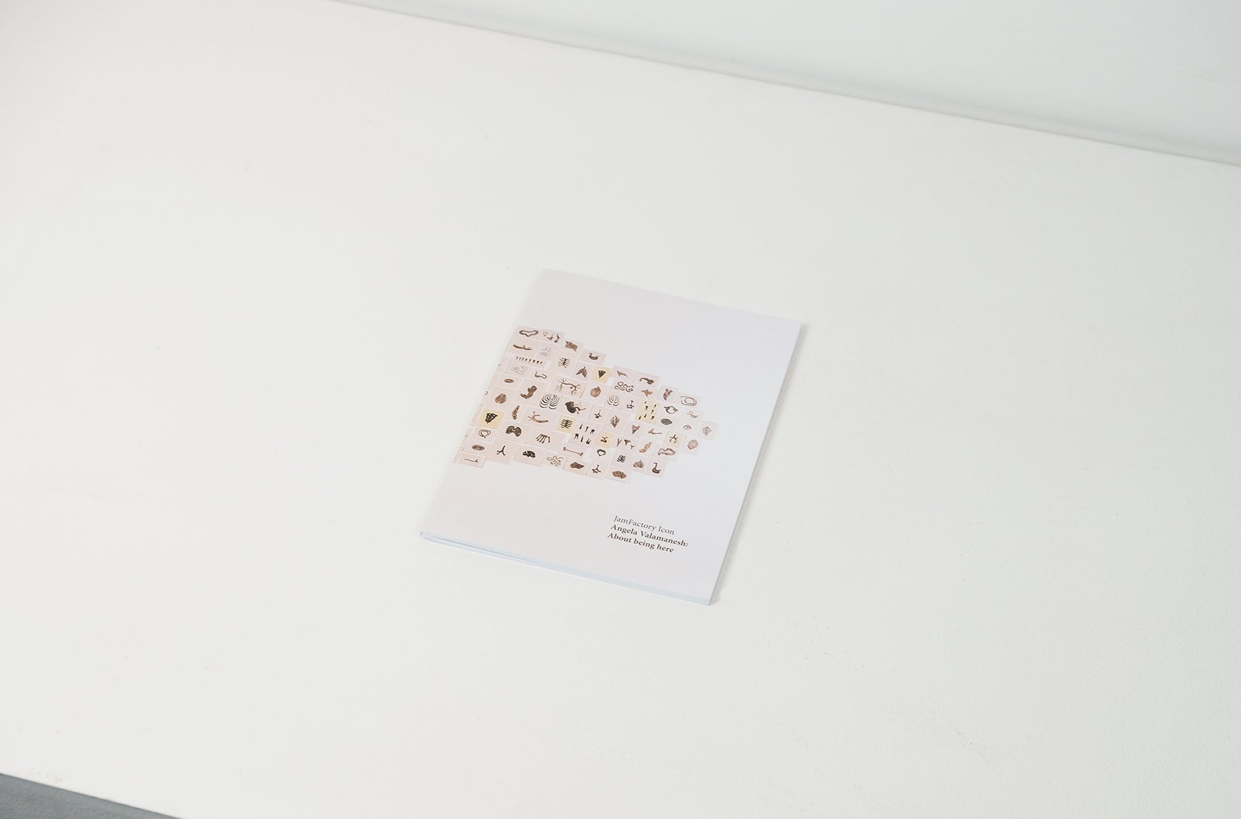 Angela Valamanesh Catalogue – JamFactory